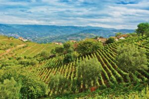 Lisbon To Porto: The Best & Most Scenic Routes - Road Trip EuroGuide